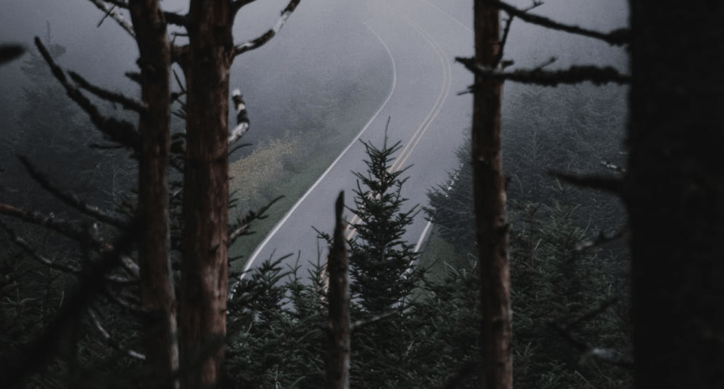 Book Review: Five Survive by Holly Jackson | SPOILER REVIEW – Frappes ...