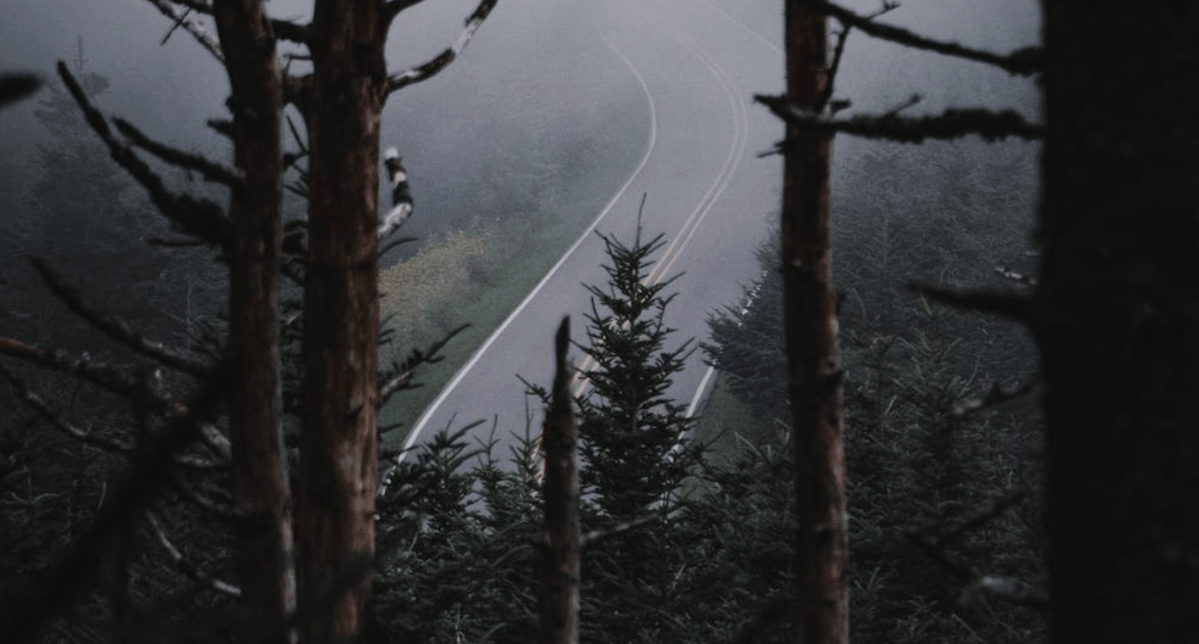 Book Review: Five Survive by Holly Jackson | SPOILER REVIEW – Frappes ...